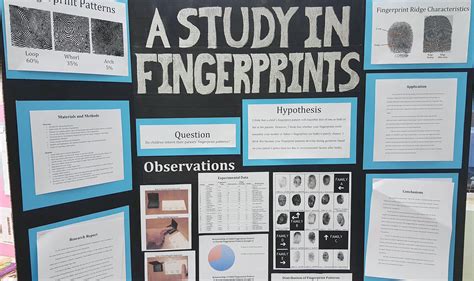 2016 Science And Technology Fair Linden School 2018