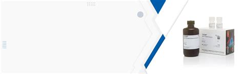 Nucleic Acid Labeling And Detection Fisher Scientific
