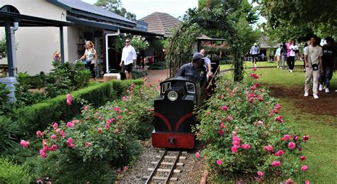 Perusing Piggly Wiggly Out And About