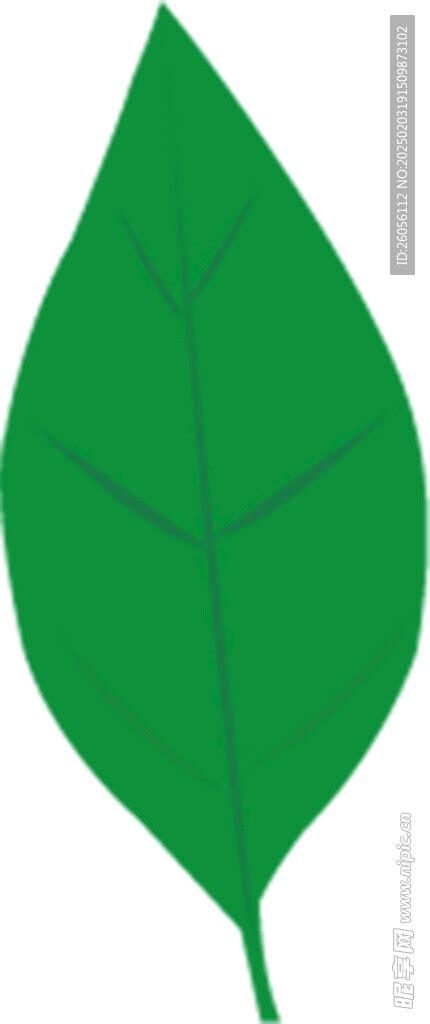 树叶设计图动漫人物动漫动画设计图库昵图网