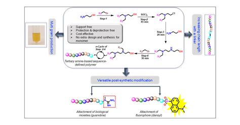 Sequence Defined Tertiary Amine Based Oligomer Employing A Scalable Support Free And