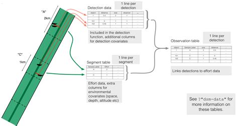 `dsm` Data Formatting Example • Dsm