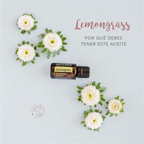 Lemongrass Por Qué Debes Tener Este Aceite Essential New Life En Enpañol