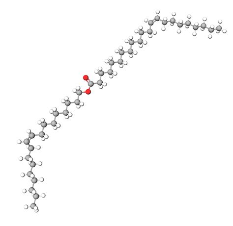 Oleyl Erucate Cosmetic Ingredients Guide