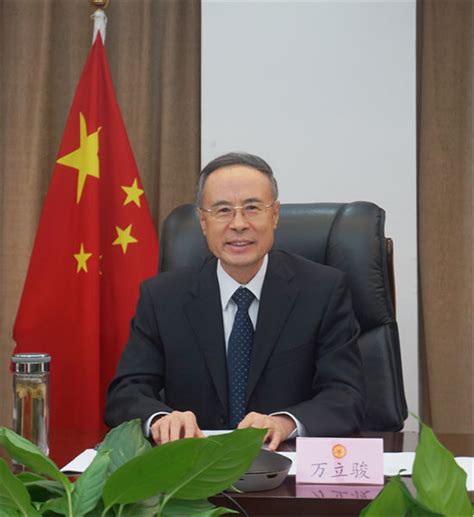 中国侨联举办“侨连五洲·云聚中秋”海外侨领代表视频会 万立骏等出席 中华全国归国华侨联合会
