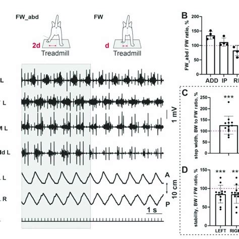 Abduction Test And Step Characteristics During Fw And Bw Stepping A