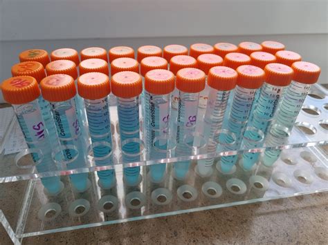 Veja Como Funciona A Comissão De Heteroidentificação De Ingressantes