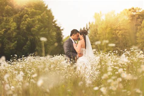 배경 화면 햇빛 나무 경치 꽃들 애정 사진술 노랑 아침 두 보케 행복 웨딩 드레스 봄 데이지 로맨스