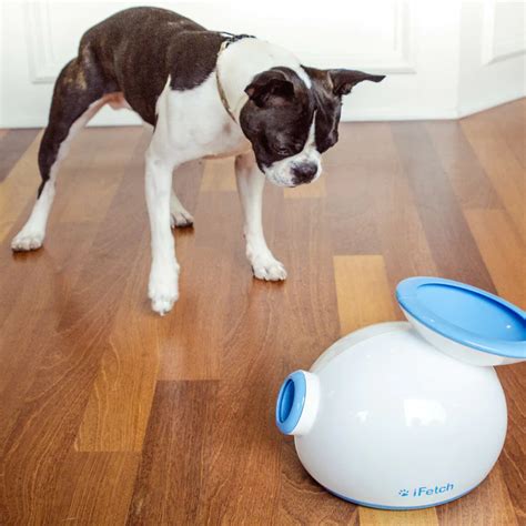 Ifetch Balls Small Pk 5 Ifetch Australia