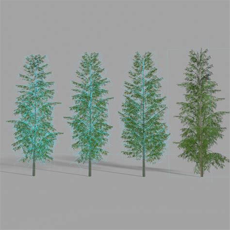 유칼립투스 나무 1 3d 모델 28 Max Fbx Obj Free3d