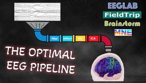Eeglab Tutorial The Art Of Brainwaves A Survey On Event Related