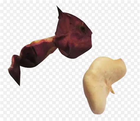 Png Png