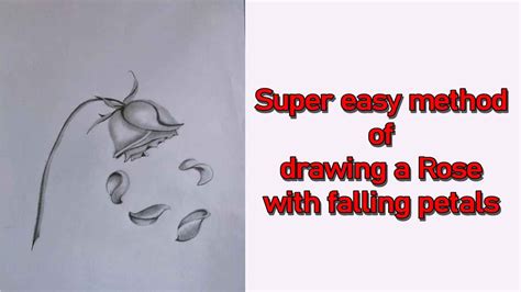Drawings Of Rose Petals At Lori Allan Blog