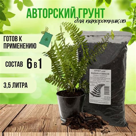 Грунт для Папоротника – купить грунты на OZON