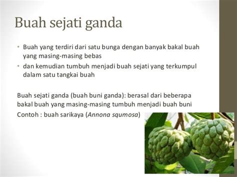 48 Contoh Buah Sejati Tunggal Populer Informasi Seputar Tanaman Hias