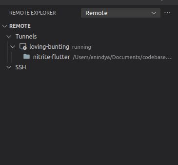 Failed To Connect To Remote Tunnel Issue Microsoft Vscode Remote Release Github