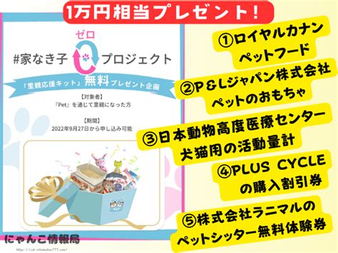 【東京都】猫の里親募集や譲渡会の場所｜おすすめの保護猫カフェも紹介｜にゃんこ情報局