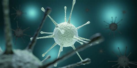 Mononucleoză Infecțioasă 2023 Simptome Transmitere Trat