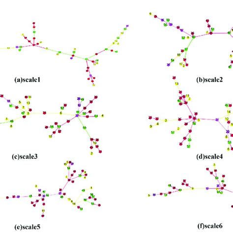 The Main Transmission Paths On Different Time Scales The Colors Of The