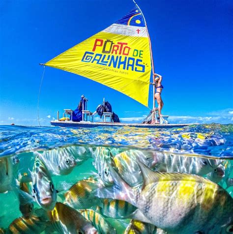 Passeios Porto De Galinhas O Melhor Passeios Receptivo