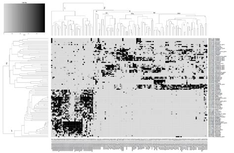 Heatmap Showing The Distribution Of Relative Abundances From Light