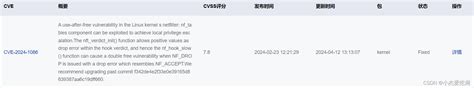 （三）openeuler欧拉系统cve 2024 1086漏洞复验及修复 openeuler 漏洞 csdn博客