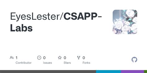 GitHub EyesLester CSAPP Labs