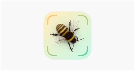 ‎insect Ai Bug Identifier On The App Store