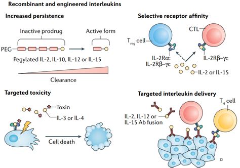 聊聊各种白介素“们”治疗细胞因子癌症