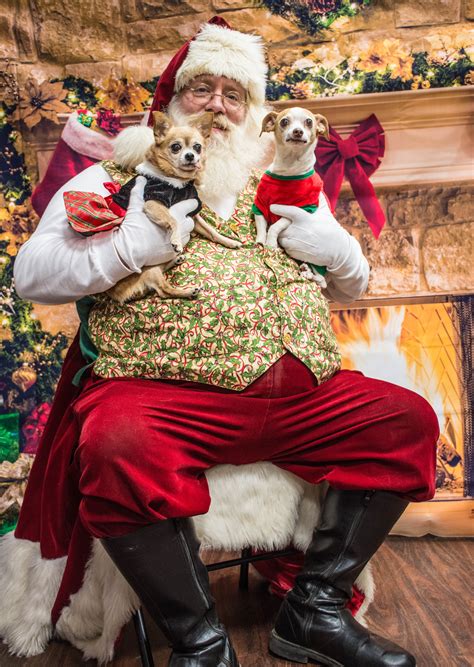 รูปภาพ ซานต้า สุนัข ชิ มีความสุข ซานตาคลอ วันคริสต์มาสอีฟ ตัว