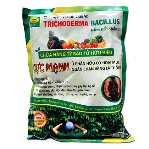 Nấm đối Kháng Trichoderma Bacillus Ủ Rác Bã Hữu Cơ Khỏi Lo Thối Rễ