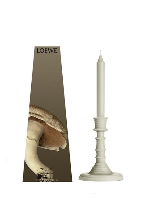 究竟聞起來是鹹還是甜？loewe 推出「蘑菇」和「烤榛果」居家香氛 The Femin