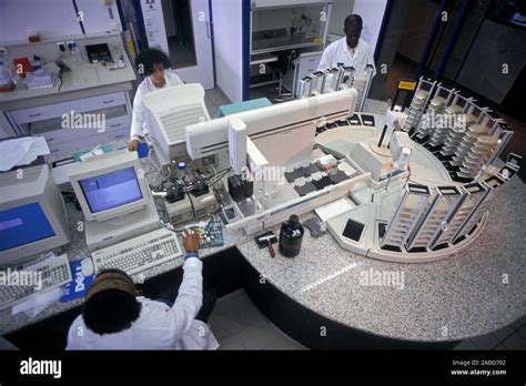 Genetic Research Researchers Monitoring Dna Amplification Dna