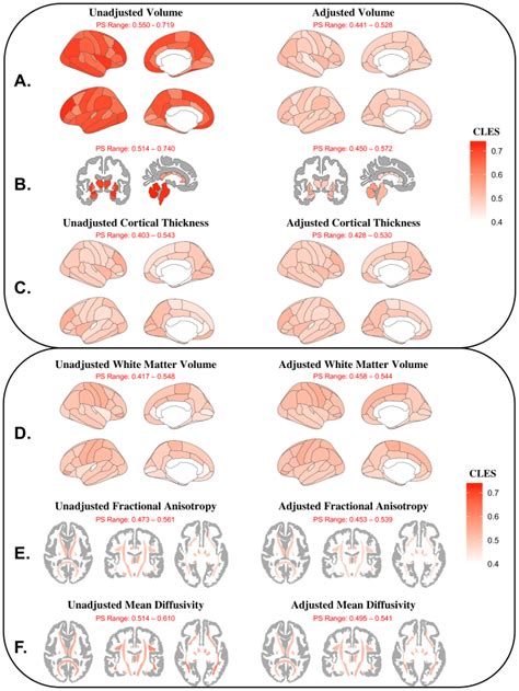 More Similarity Than Difference Comparison Of Within And Between Sex