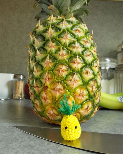 Tiny Pineapple Has Many Talents Mochimochi Land