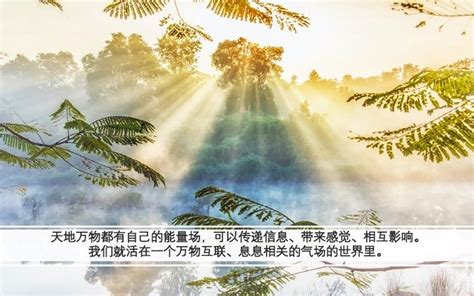 天地万物皆气场 知乎