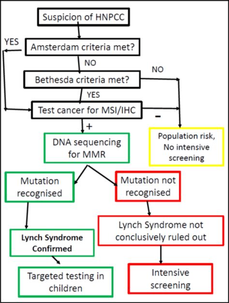 Lynch Syndrome Diagnostic Challenges And Management A Case Report Kauvery Hospital