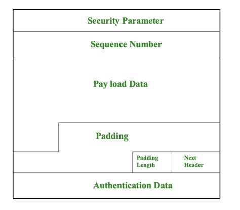 The Tcpip Guide Ipsec Encapsulating Security Payload Ipsec Internet