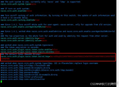 Linux安装nacos2.2.3-CSDN博客