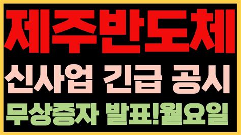 [금양] 신사업 긴급공시 무상증자 월요일 발표 2차전지 배터리 테슬라 신재생 4695 금양 주식 엔솔 양산 투자 2차