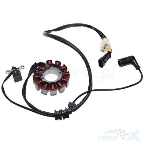 Stator Ignition Coil Alternator Stator 12 Coils 32mm Hole Wm Motor