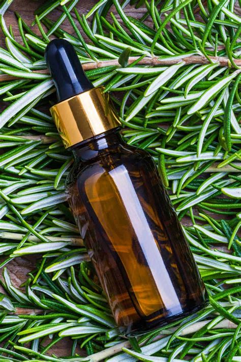 Doterra Oil Diffuser