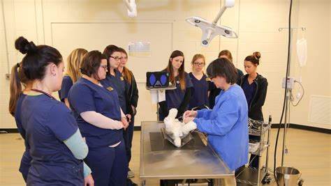 Vol State Expands Vet Tech Program