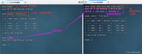 Mysql Csdn