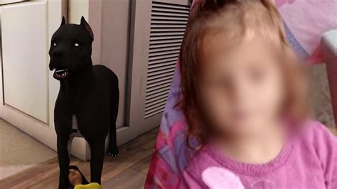 Urgente Infelizmente Vazaram As Fotos Da Menina De 2 Anos Que Foi M0rt4 Pelo Pitbull Da