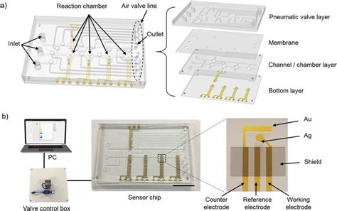 Schematic Illustration Of The Microfluidic System For Electrochemical