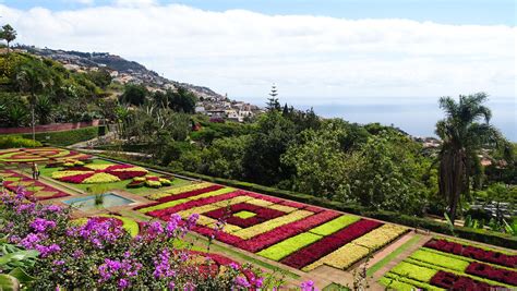 Les Jardins De Funchal Madère