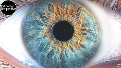 Double Row Eyelashes Mutation