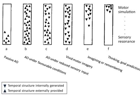 The Continuum Between Action Observation And Motor Imagery Modified Download Scientific