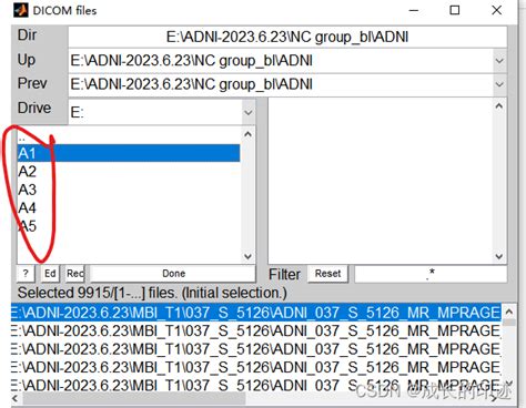 基于spm12dcm文件批量转为nii格式matlab为什么将dcom导不出nii格式 Csdn博客